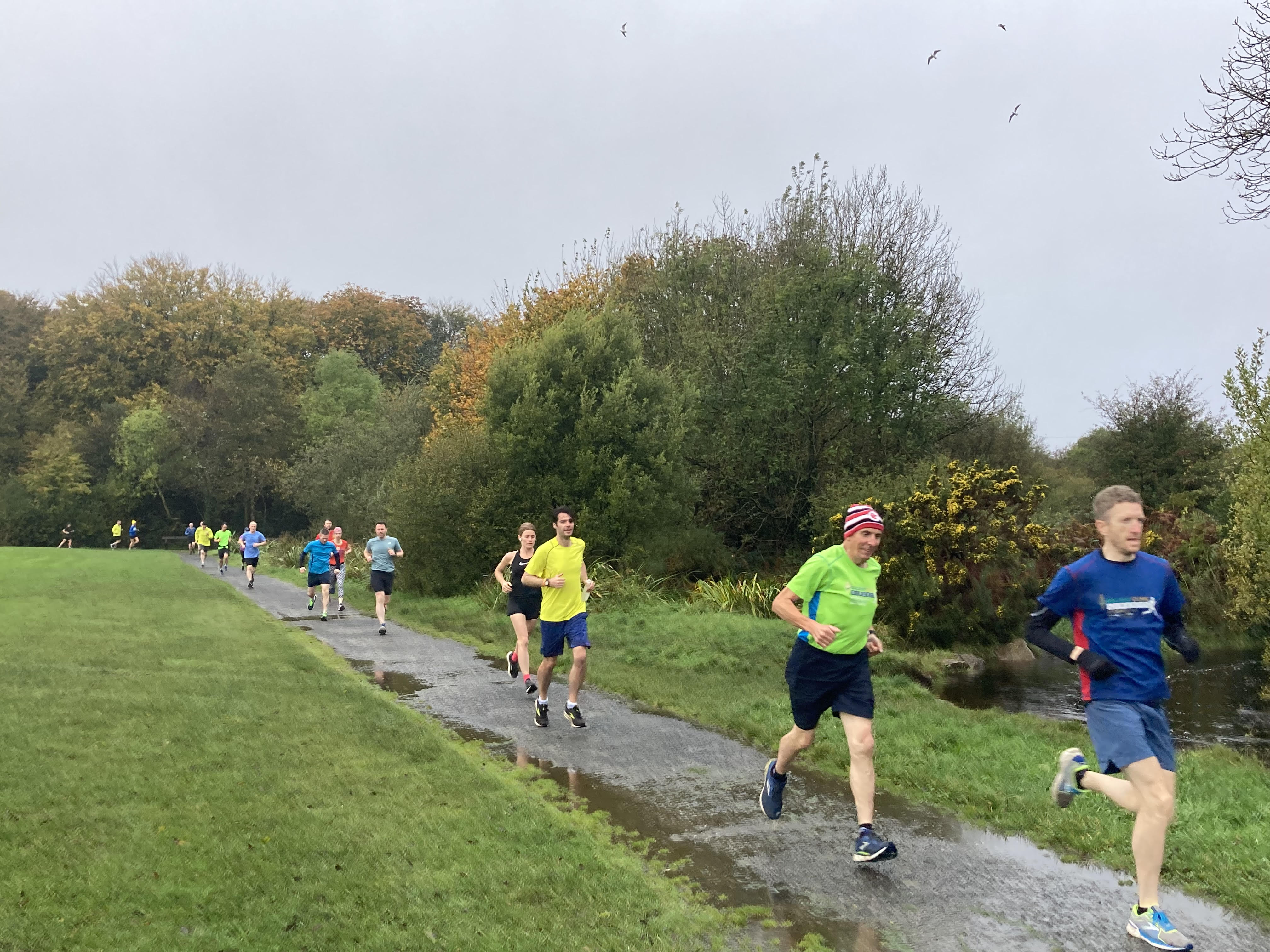 The power of parkrun